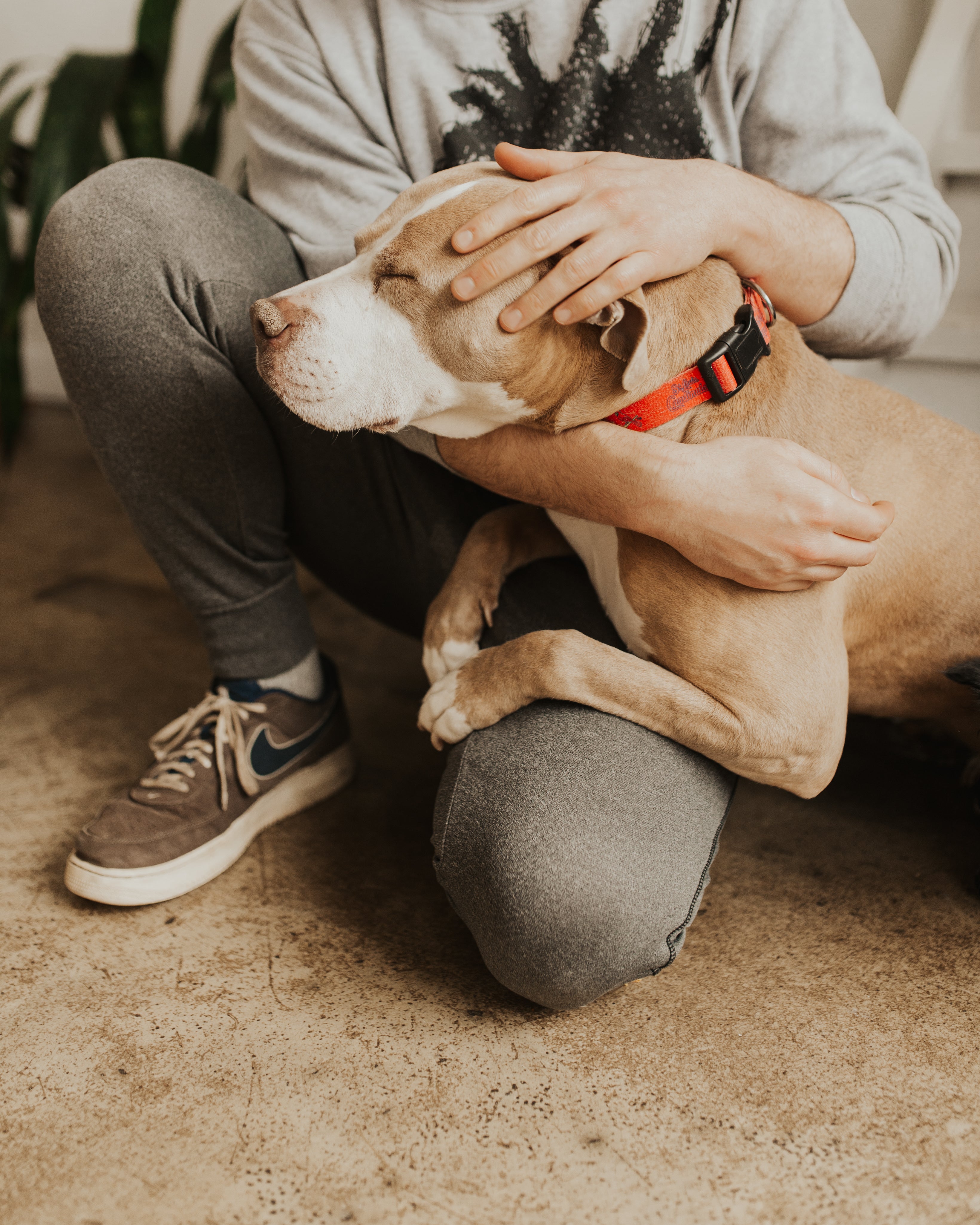 Jack's Day: A Day To Celebrate Unconditional Love – Rochester Brainery