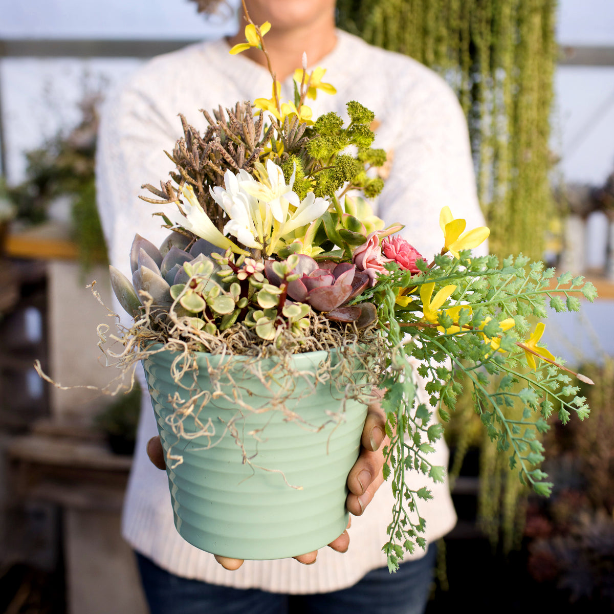 Private Classes – Rochester Brainery