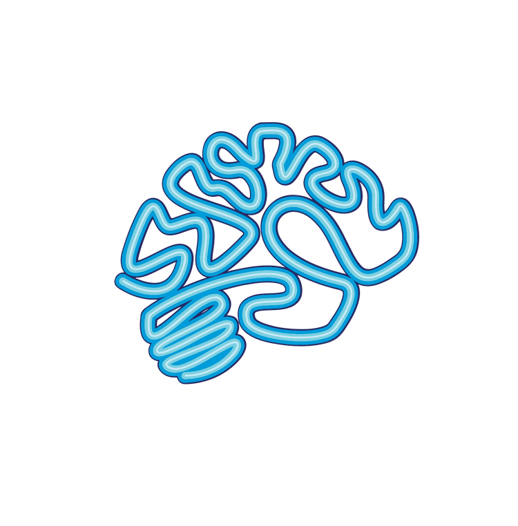 Contact – Rochester Brainery